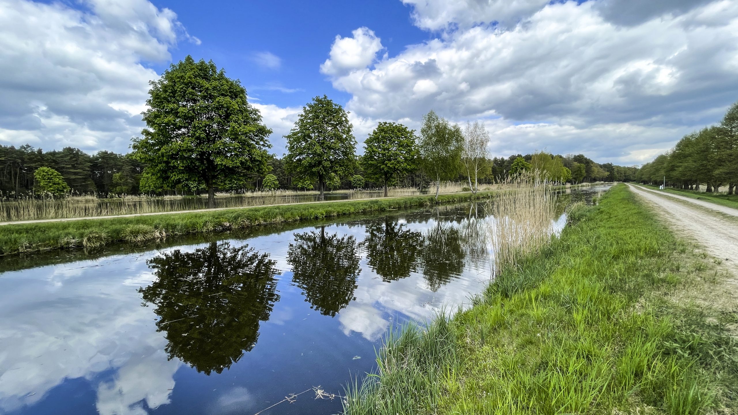 #7 Elbe, Elde, Müritz. – Alter Mann am Fluss
